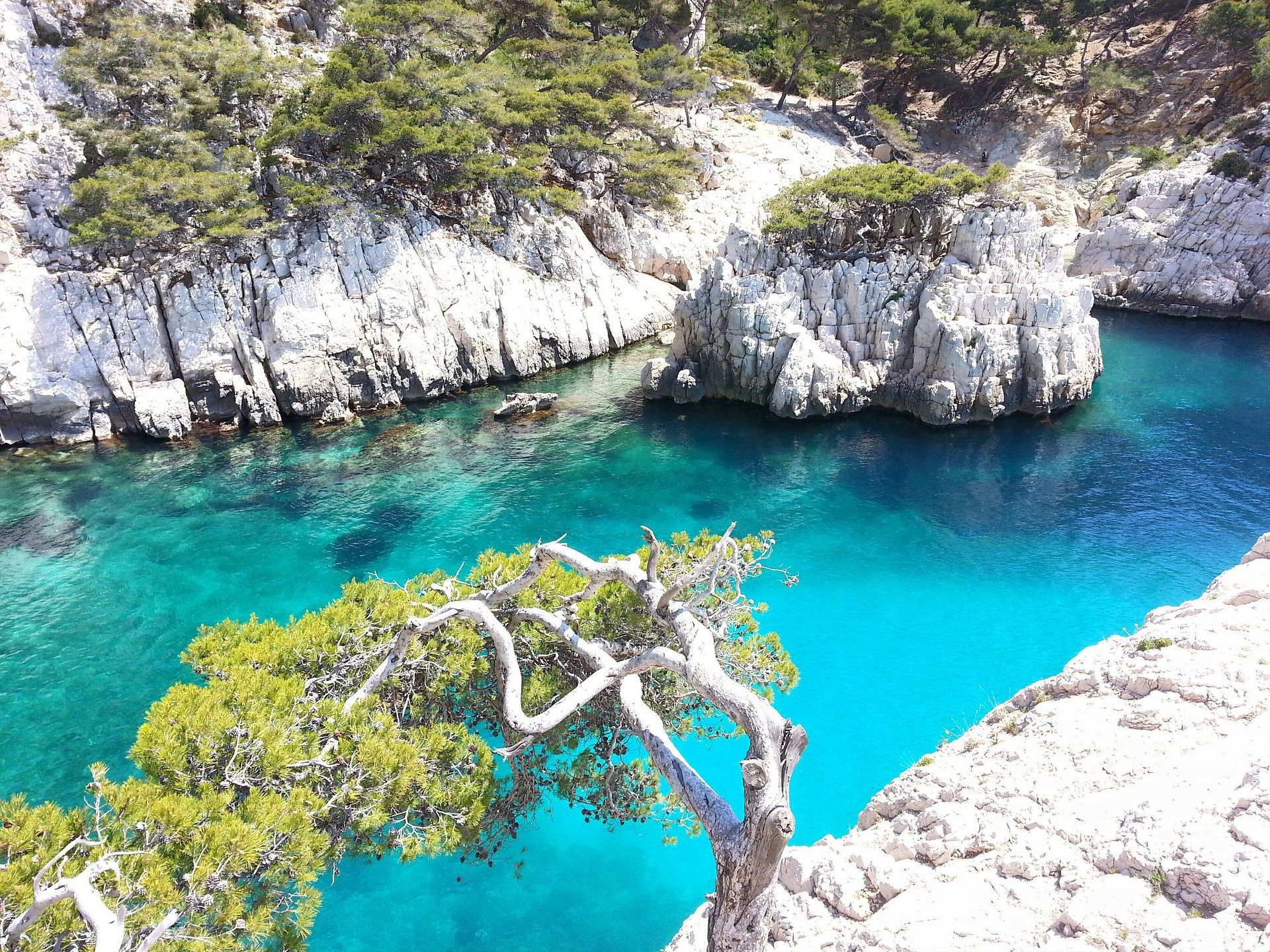 Visitez les calanques en bateau - Alpes Azur